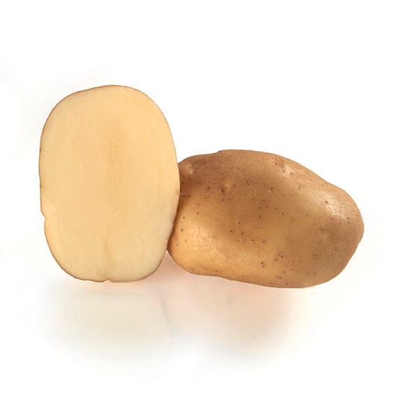 Patate bianche Kelly - L'Ortolano – Millstore.it