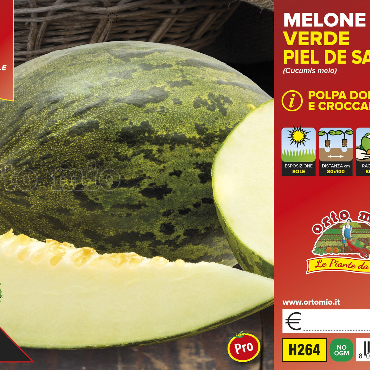 Melone verde da inverno Valeoso o Medellin F1 - Orto Mio – Millstore.it