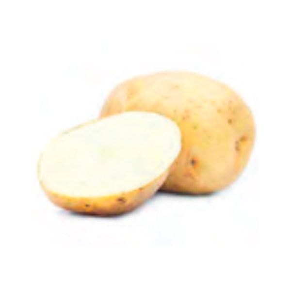 Patate bianche Abelia - L'Ortolano – Millstore.it